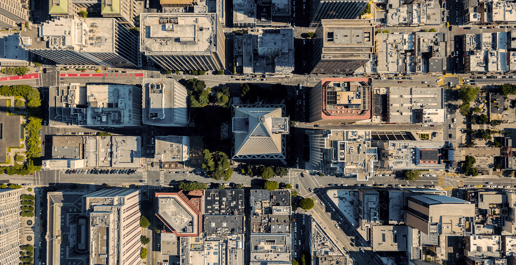 The Codevi Free Zone